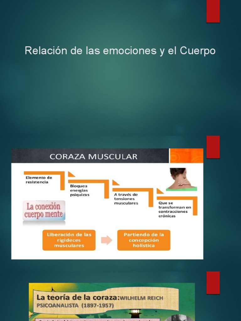 1.2 Relación de Las Emociones y El Cuerpo | PDF | Vértebra