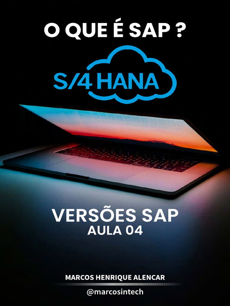 Sap Aula 4 | PDF