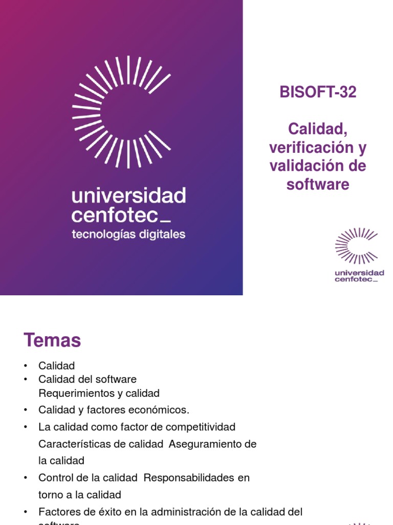 01 Calidad Del Software | PDF | Calidad (comercial) | Software