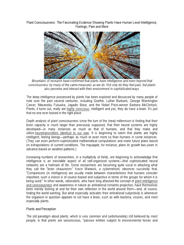 Plant Consciousness - The Fascinating Evidence Showing Plants Have ...