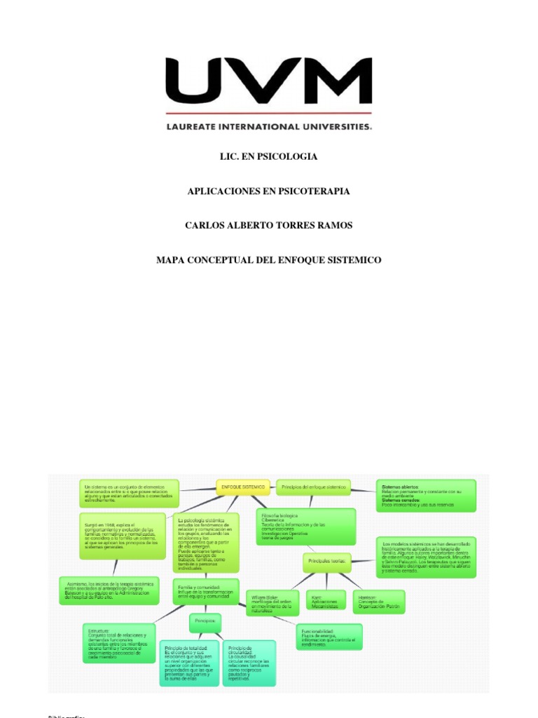 Mapa Conceptual Del Enfoque Sistemico | PDF