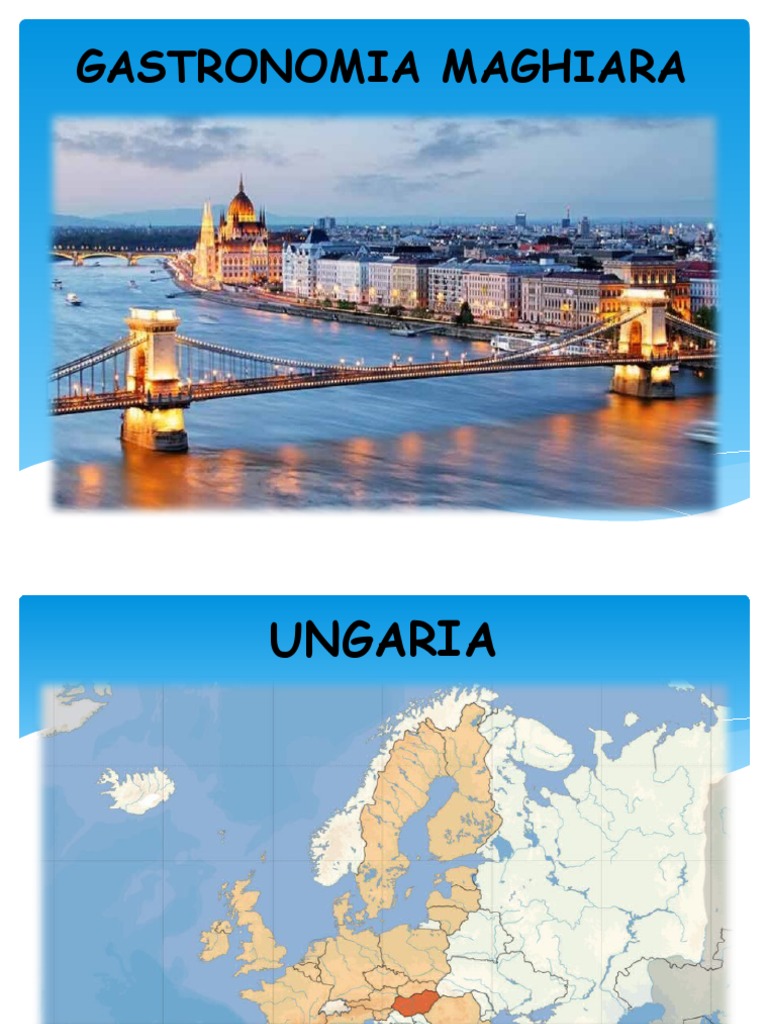Gastronomia Maghiara | PDF