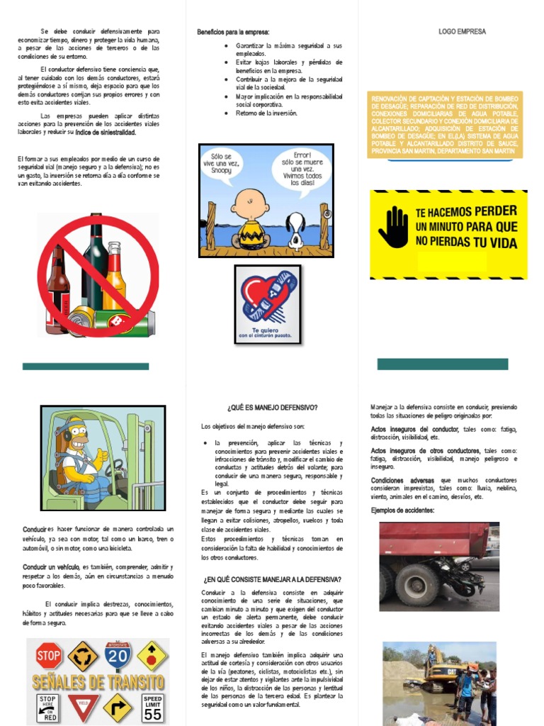 Triptico de Manejo Defensivo | PDF Triptico de Manejo Defensivo | PDF