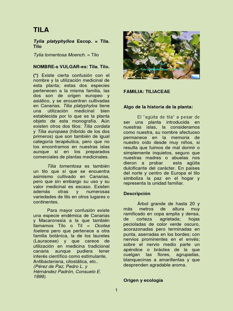 TILA | PDF | Plantas medicinales | Plantas