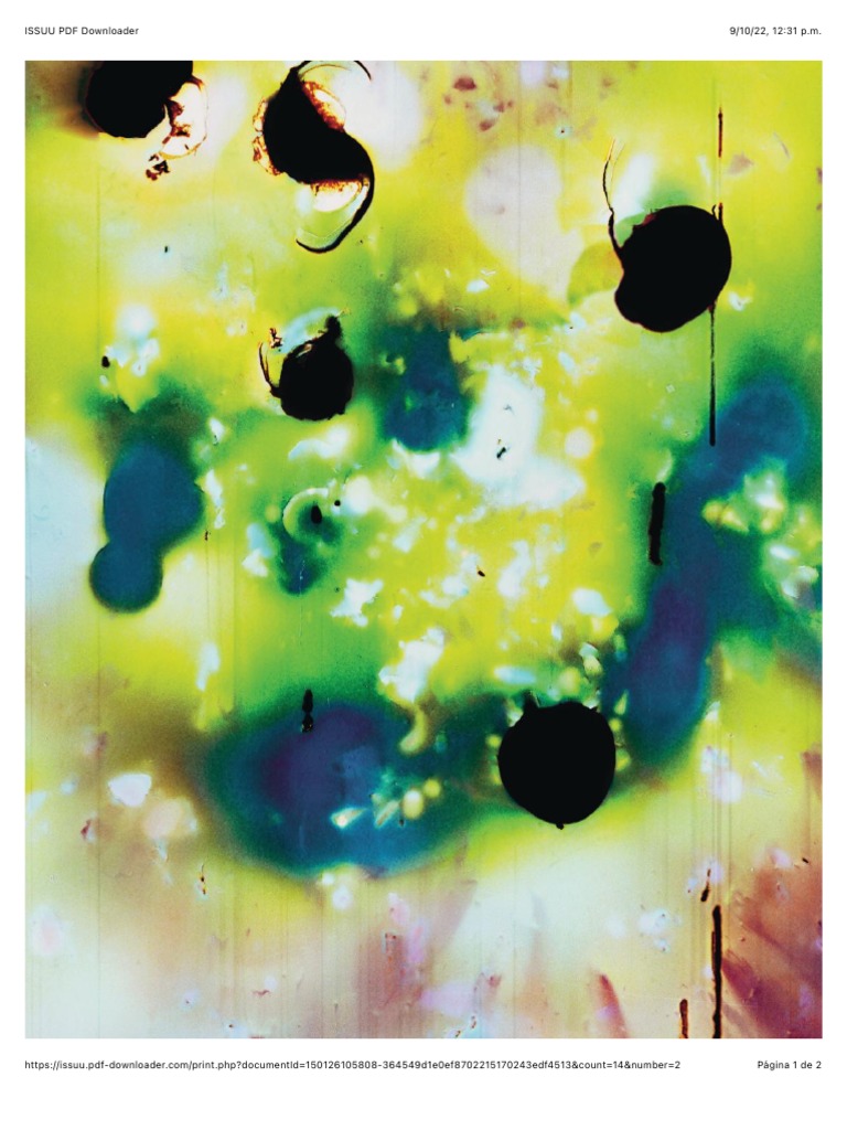 ISSUU PDF Downloader | PDF