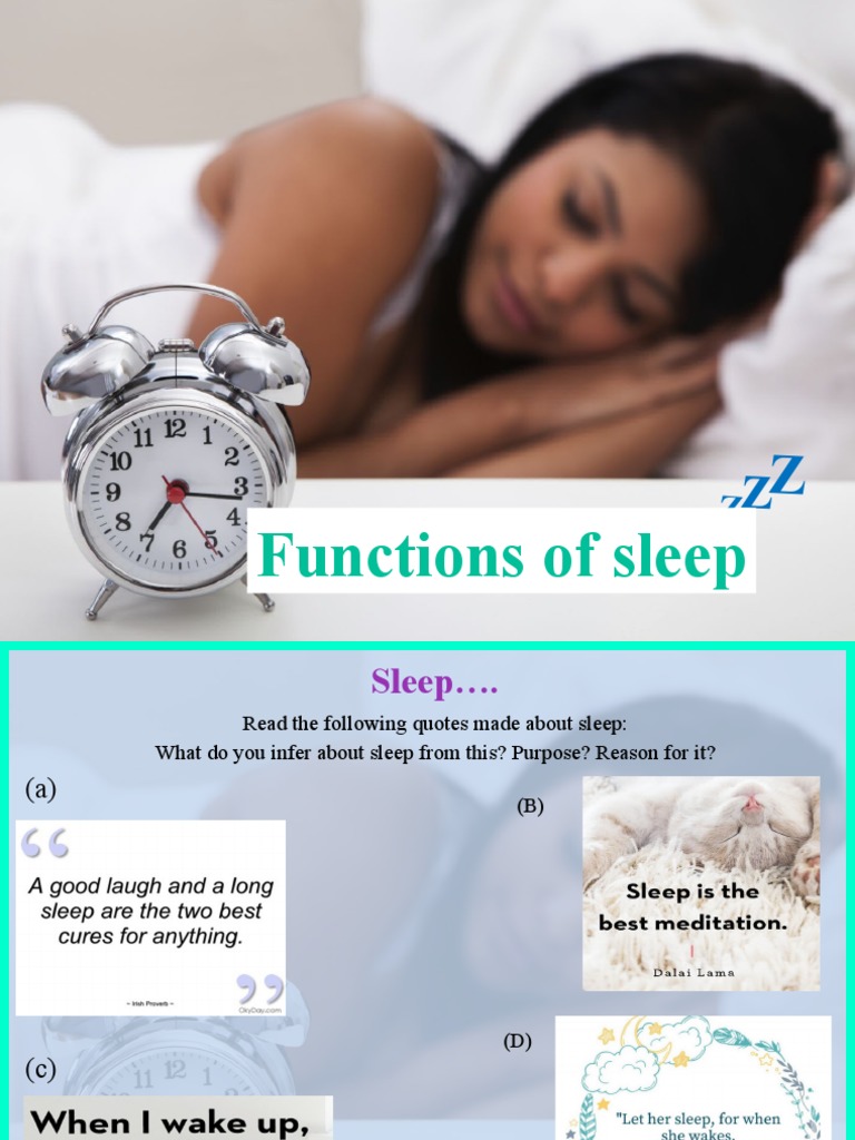 L1 - Functions of sleep | PDF | Sleep | Rapid Eye Movement Sleep