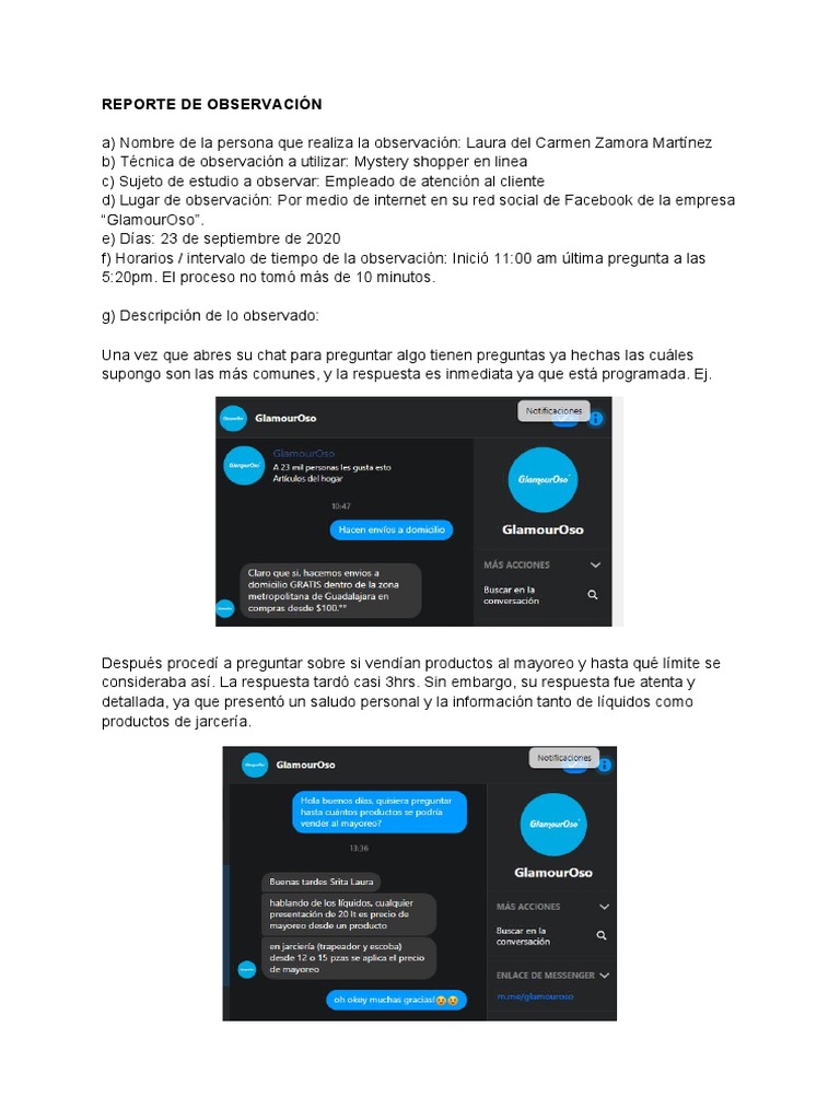 Ejemplo Reporte de Observación | PDF