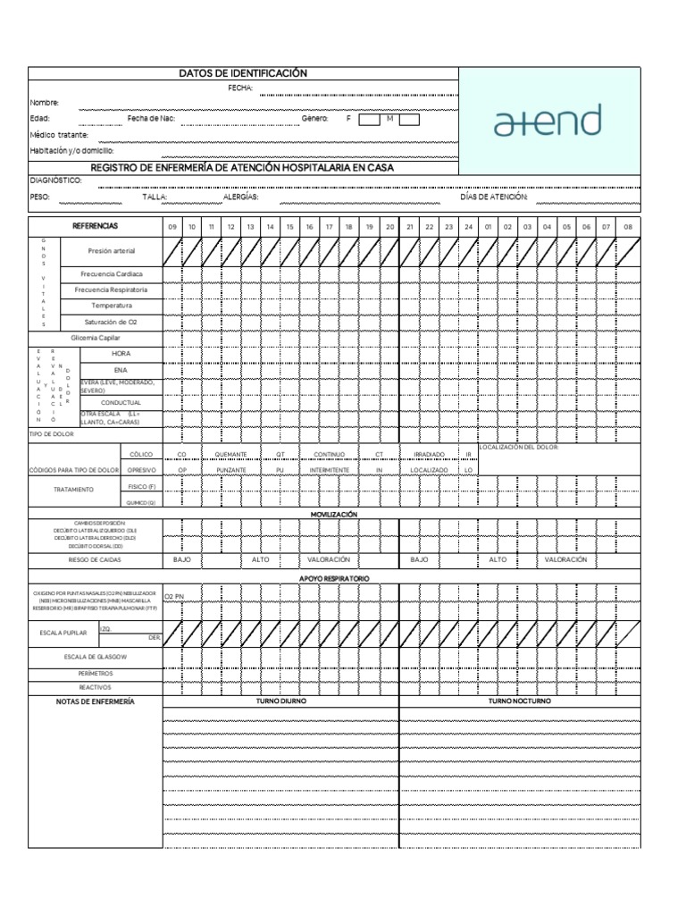 Bitácora de Enfermería | PDF | Medicina | Enfermedades y trastornos