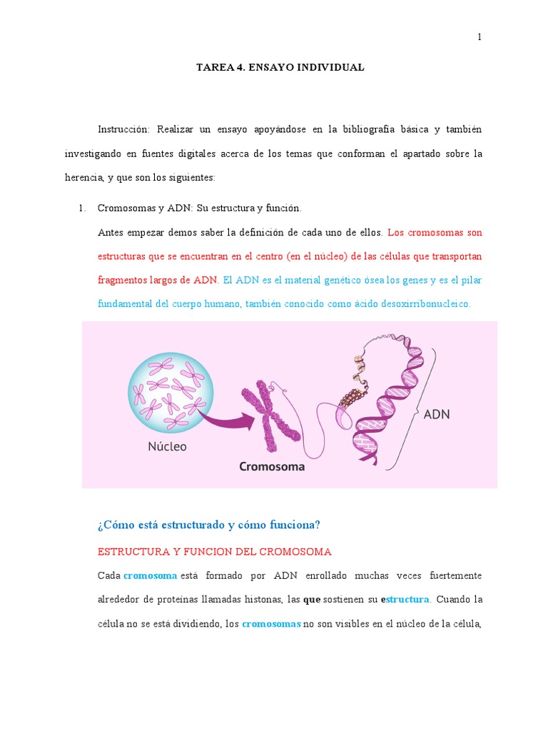 Tarea 4. Ensayo Individual Sobre Herencia | PDF | Adn | Cromosoma
