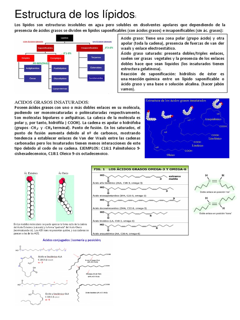 Estructura de Los Lípidos | PDF | Aminoácidos | Péptido