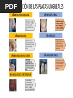 Anatomía y Biomecánica del Pie | PDF | Pie | Tobillo