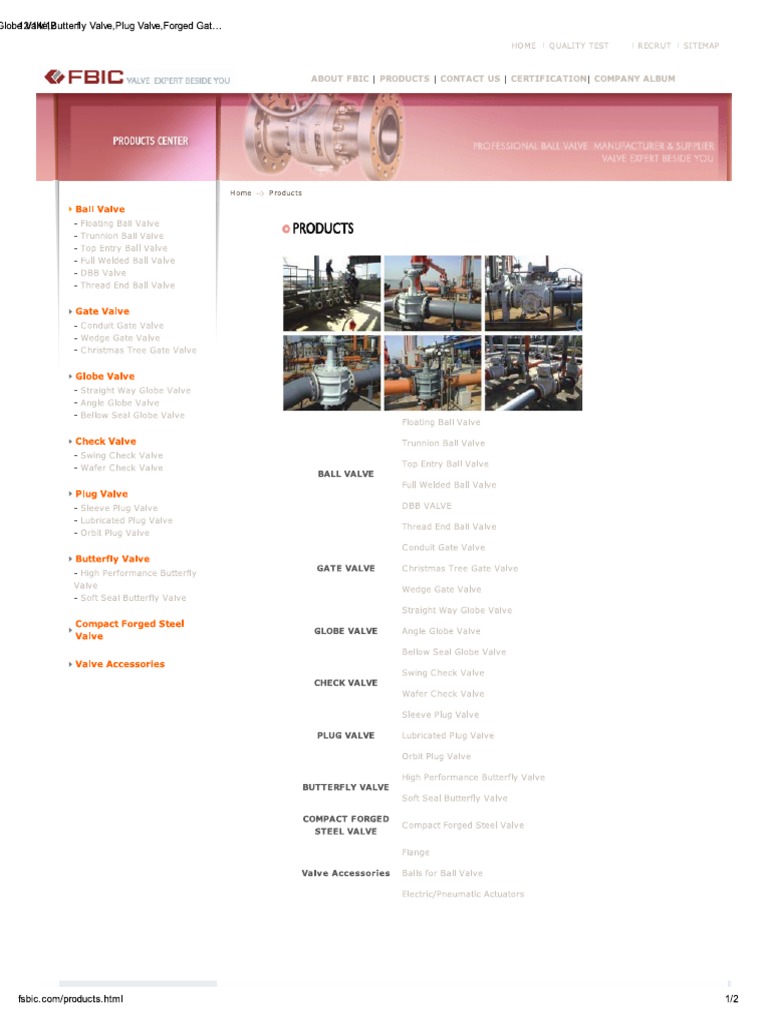 Fbic Inc Valve Expert | PDF