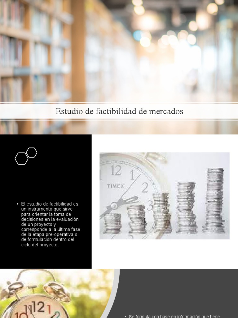 Estudio de Factibilidad | PDF | Hotel | Estudio de factibilidad