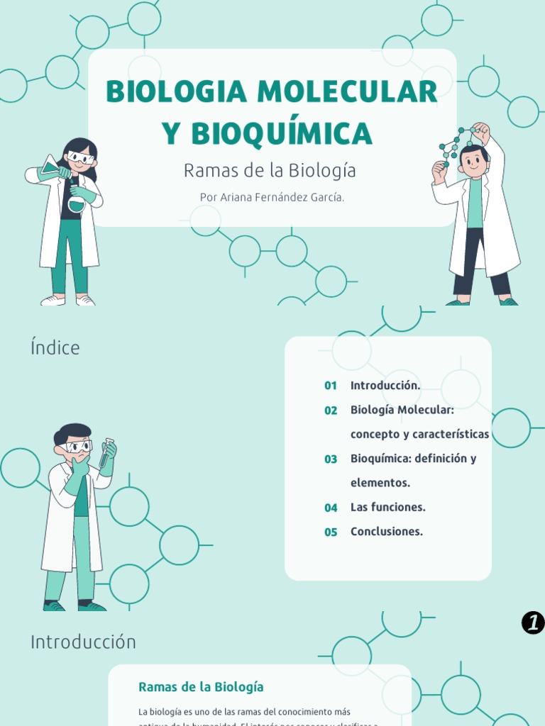 Biología Molecular y Bioquímica: Definición y Ramas | PDF | Biología ...
