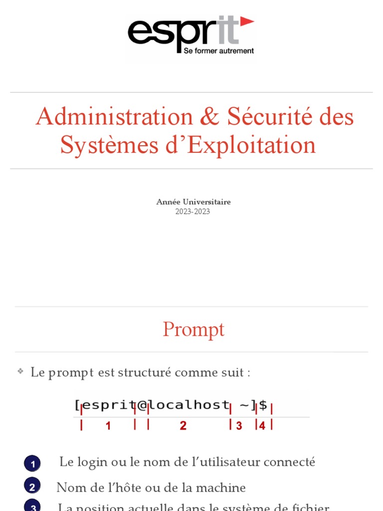 Revision | PDF | Interface en ligne de commande | Fichier informatique