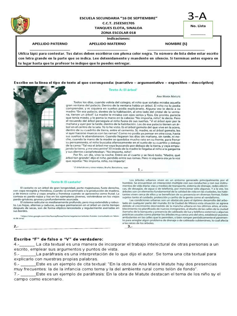 Examen Tercero El Ensayo | PDF | Ensayos