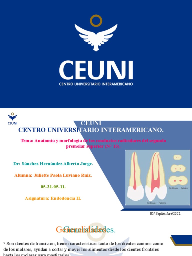 Anatomía del Segundo Premolar Superior | PDF | Odontología | Ramas de ...