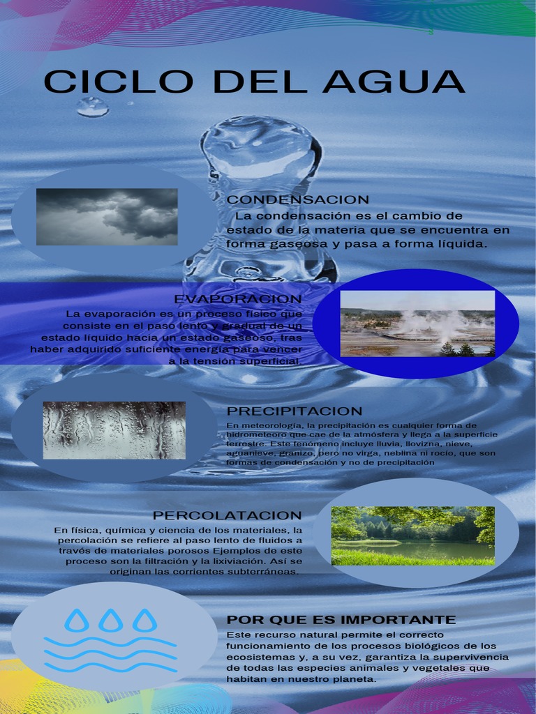 Infografia Del Ciclo Del Agua | PDF