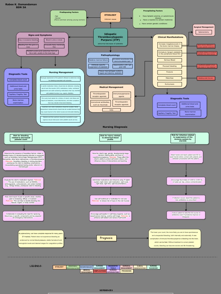 Itp Concept Map Damandaman | PDF