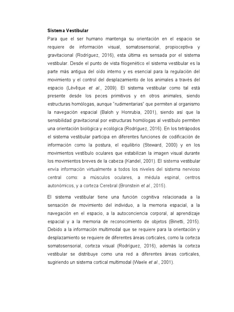 Anatomía y Función del Sistema Vestibular | PDF | Neurona | Sinapsis