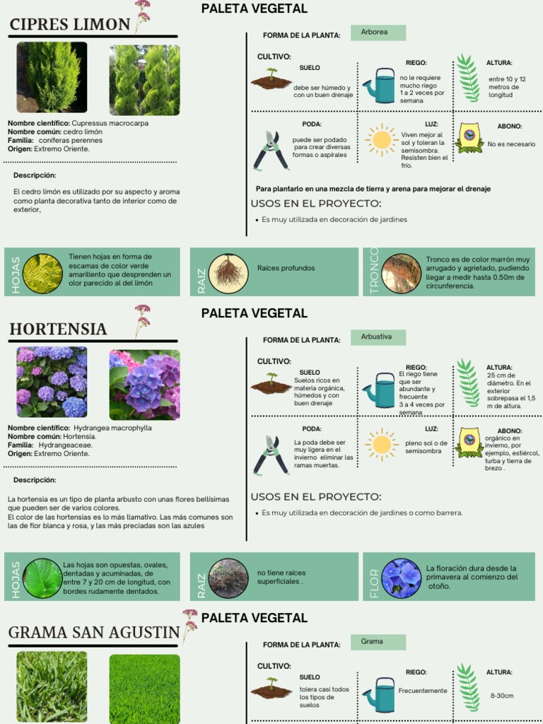 Paleta Vegetal | PDF | Botánica | Plantas