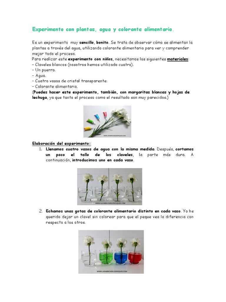 Experiment Amb Flors | PDF