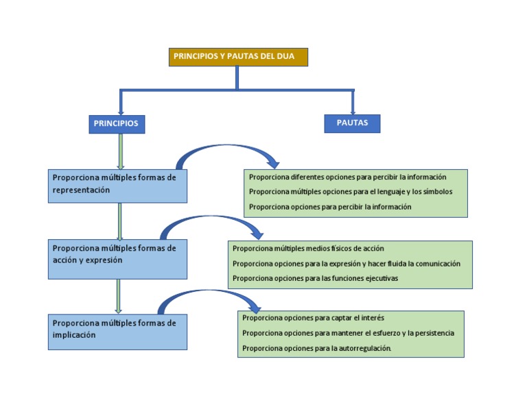 Mapa Conceptual Del DUA | PDF
