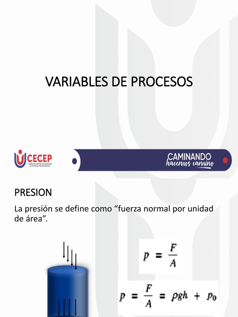 Variables de Procesos Ii | PDF | Presión | Pascal (Unidad)
