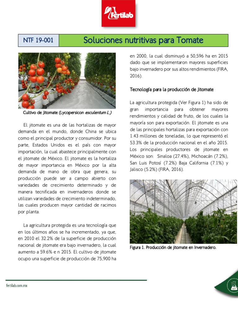 Nutrición | PDF | Tomate | Agricultura