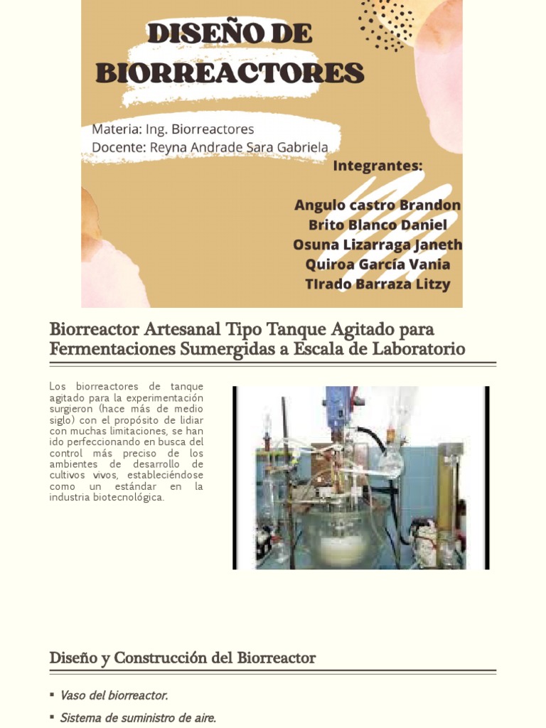 Diseño de Biorreactores | PDF | Ciencias fisicas | Química