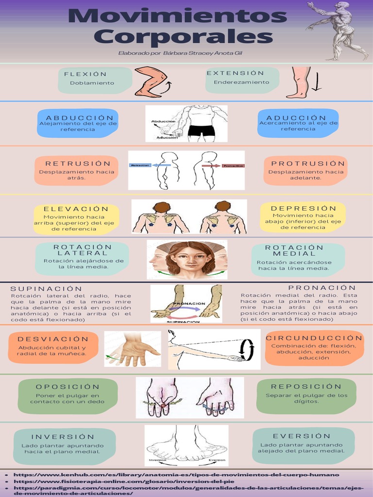 Tipos de Movimientos Corporales | PDF | Mano | Codo