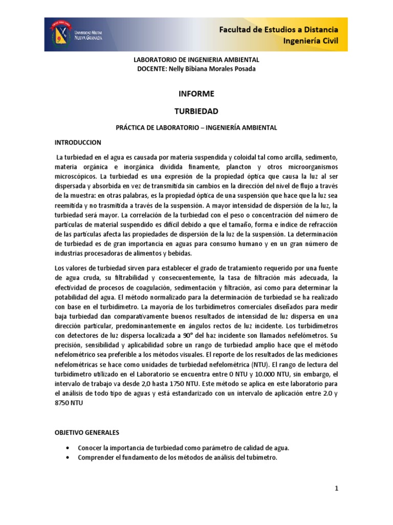 Instructivo Formato Informe 2022-II | PDF | Coloide | Ligero