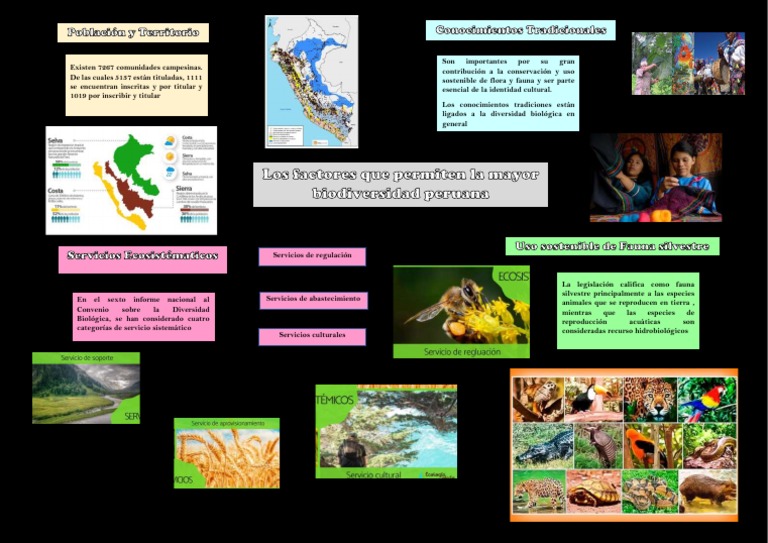 Infografia Diversidad Peruana | PDF