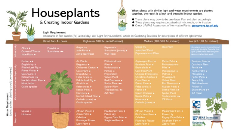 Houseplant List | PDF | Houseplant | Plants