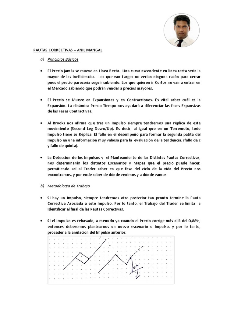 Pautas Correctivas en Trading: Anil Mangal | PDF | Derecho