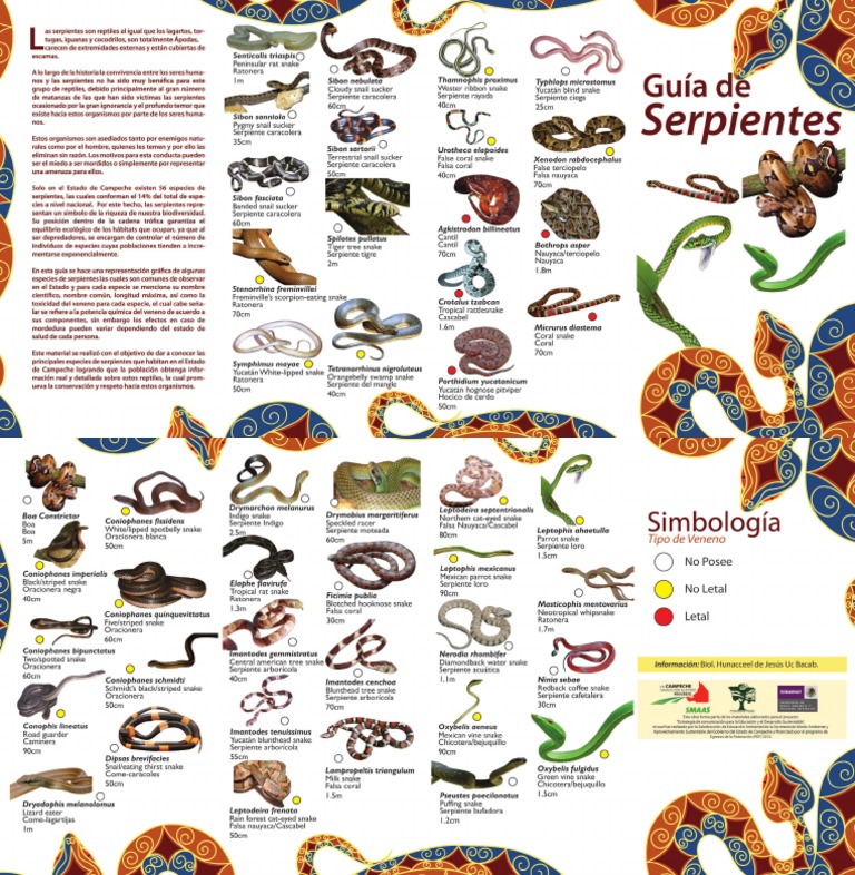 Guia Serpientes | PDF
