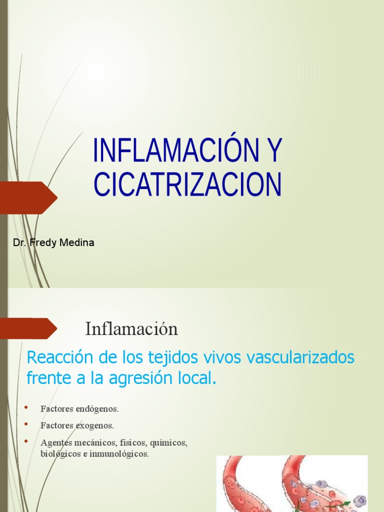 Fases de la Inflamación y Cicatrización | PDF | Inflamación ...