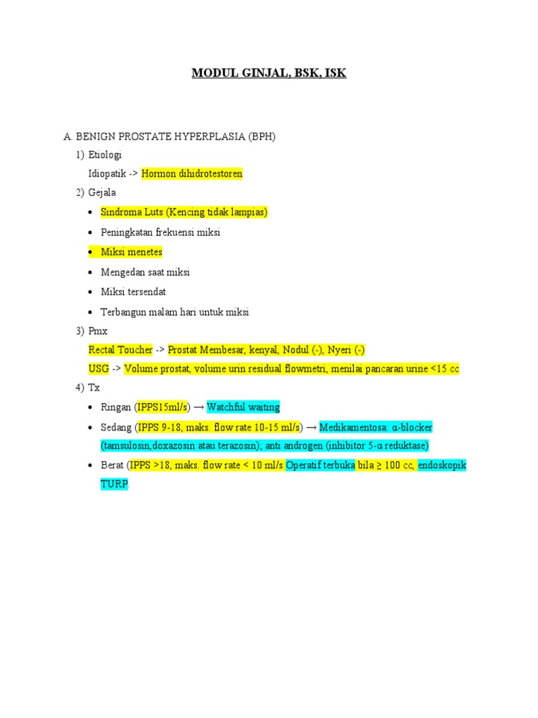 Ginjal, BSK, Isk | PDF