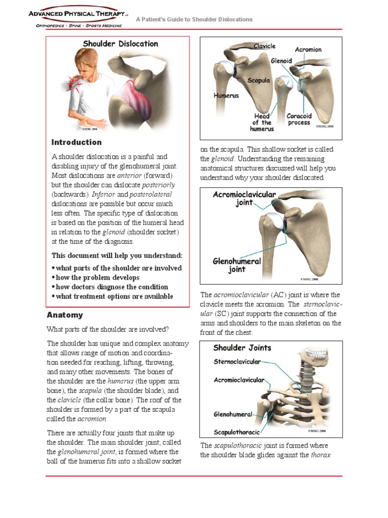 Understanding Anterior Shoulder Dislocations | PDF