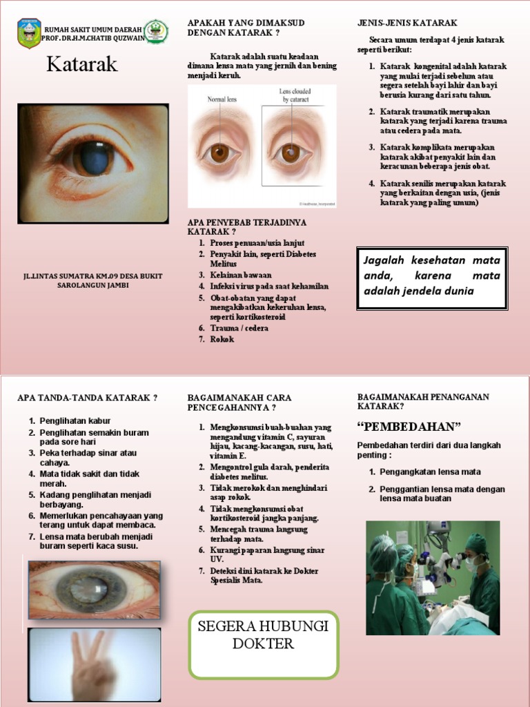 Leaflet-Katarak 1 | PDF