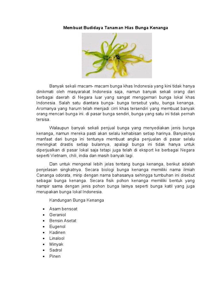 Membuat Budidaya Tanaman Hias Bunga Kenanga | PDF