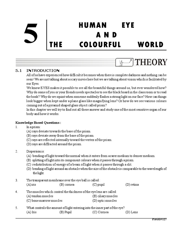 Human Eye | PDF | Eye | Human Eye