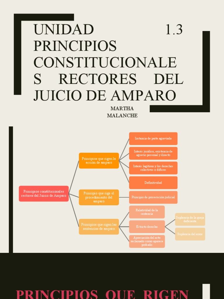 Principios Constitucionales Rectores Del Amparo | PDF | Gobernancia ...
