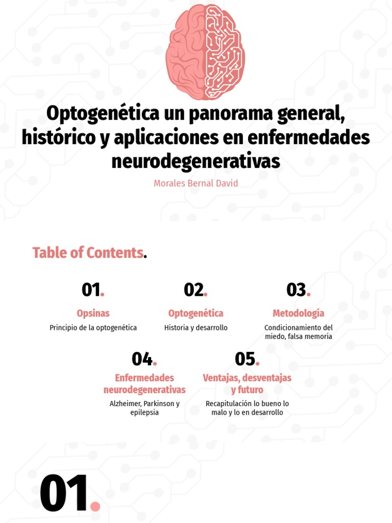 Optogenética Un Panorama General, Histórico y Revisión Bibliográfica de ...