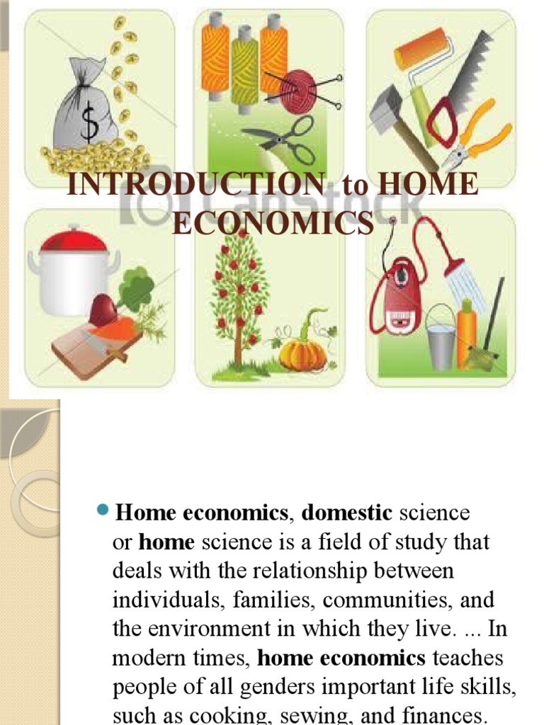 An Introduction to the Seven Main Branches of Home Economics | PDF ...