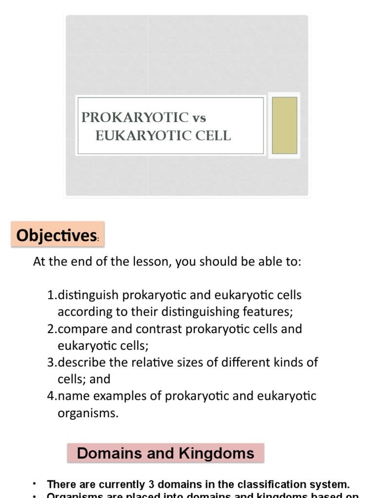 Prokaryotic Vs Eukaryotic Cell | PDF | Cell (Biology) | Organisms