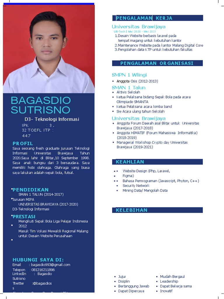 CV Ario Prasojo | PDF