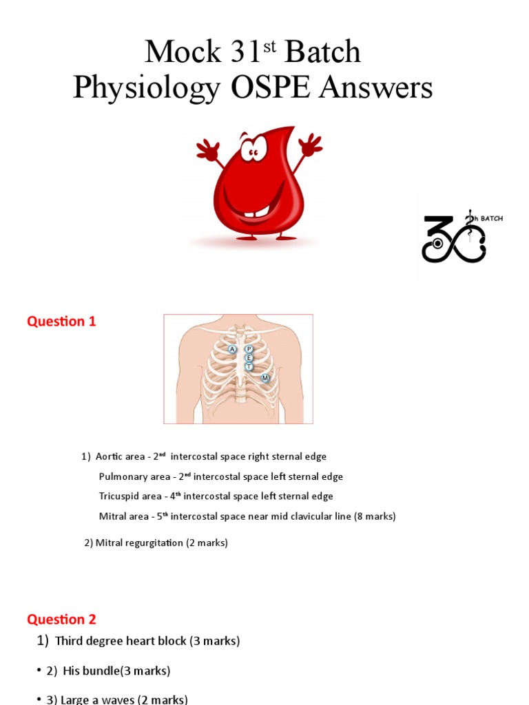 Mock Physio OSPE Ans | PDF | Esophagus | Luteinizing Hormone