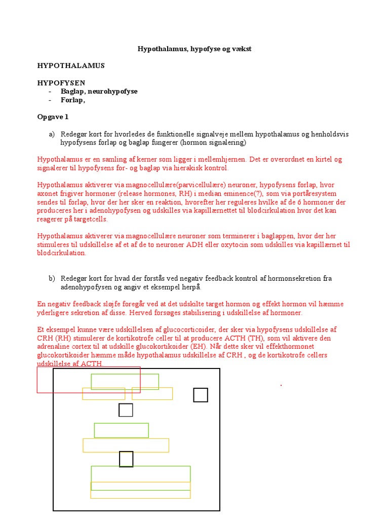 Fys-1 Hypothalamus-Hypofyse-Vækst | PDF