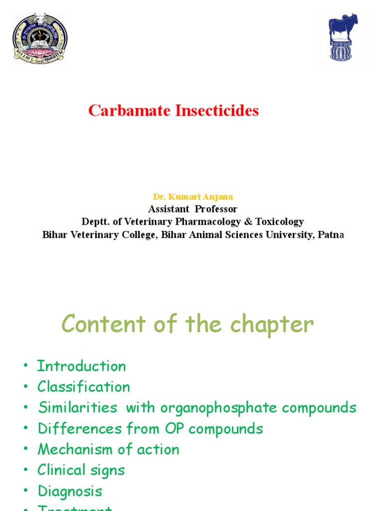 3 Carbamates Insecticides | PDF | Insecticide | Enzyme Inhibitor